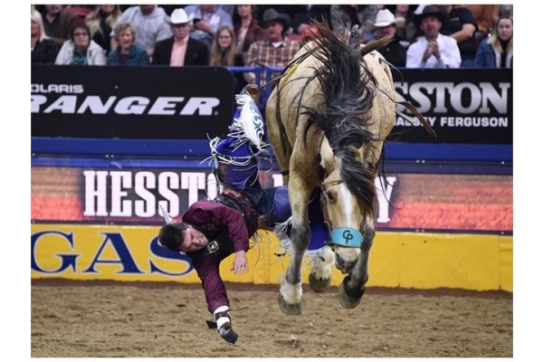 2025 National Finals Rodeo Travel Packages, Tickets, Las Vegas