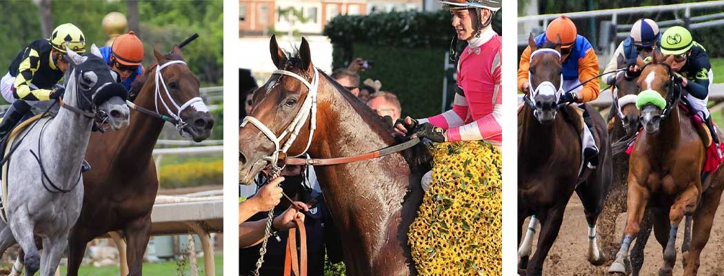 2026 Preakness Stakes Tickets - Packages - Laurel Race Course